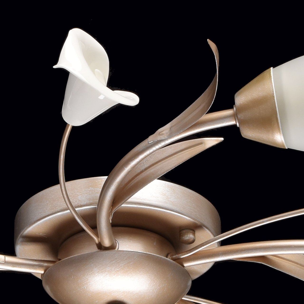 MW-LIGHT - Prisadený luster FLORA 5xE14/60W/230V | Svet svietidiel